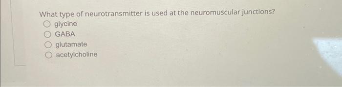 Solved What type of neurotransmitter is used at the | Chegg.com
