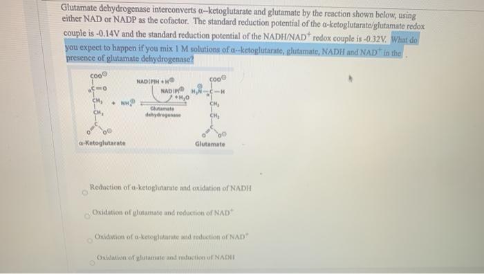 Solved Glutamate dehydrogenase ketoglutarato and glutamate | Chegg.com