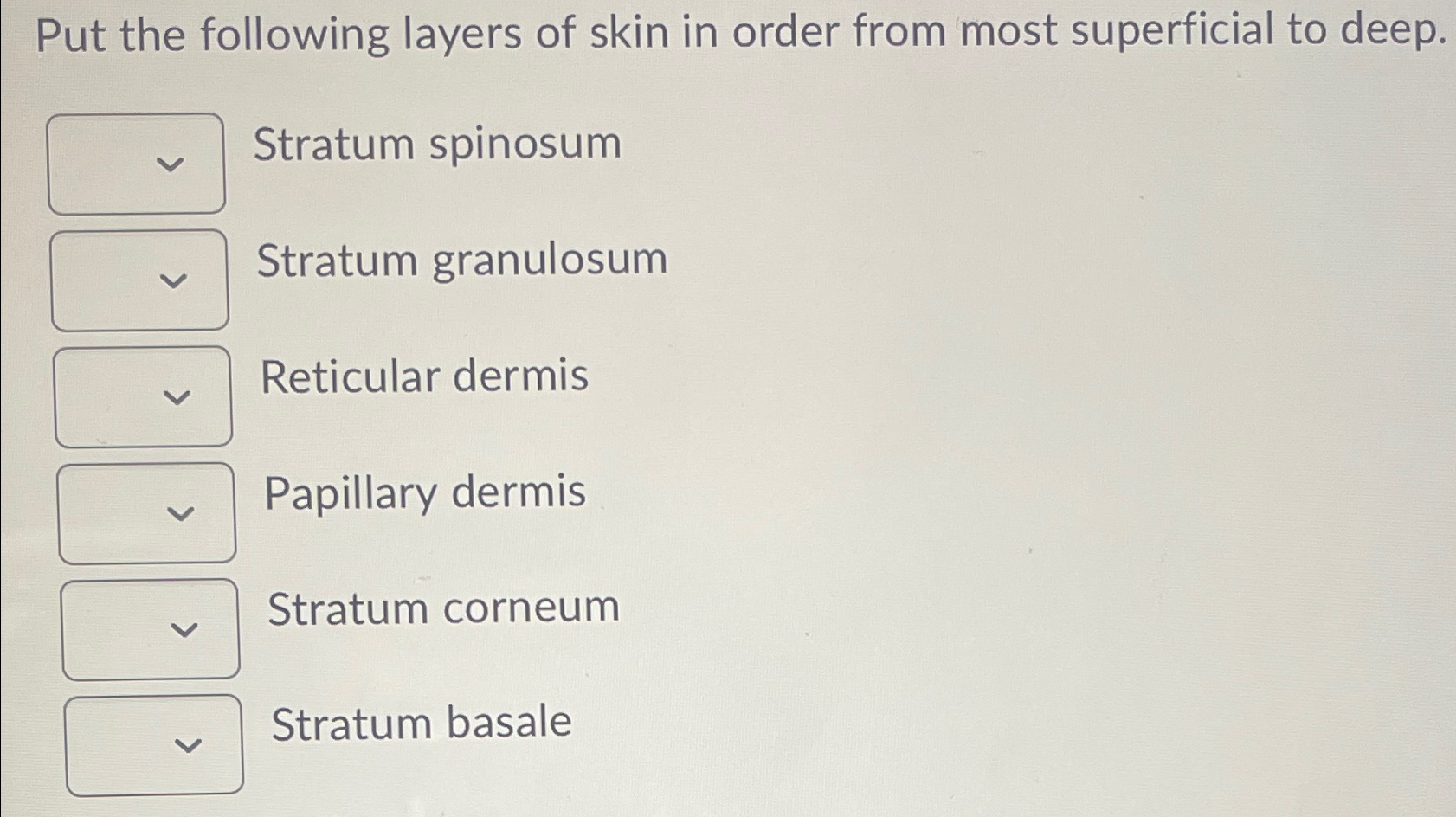 Solved Put the following layers of skin in order from most | Chegg.com