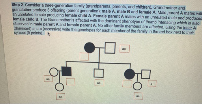 Solved Step 2. Consider a three-generation family | Chegg.com