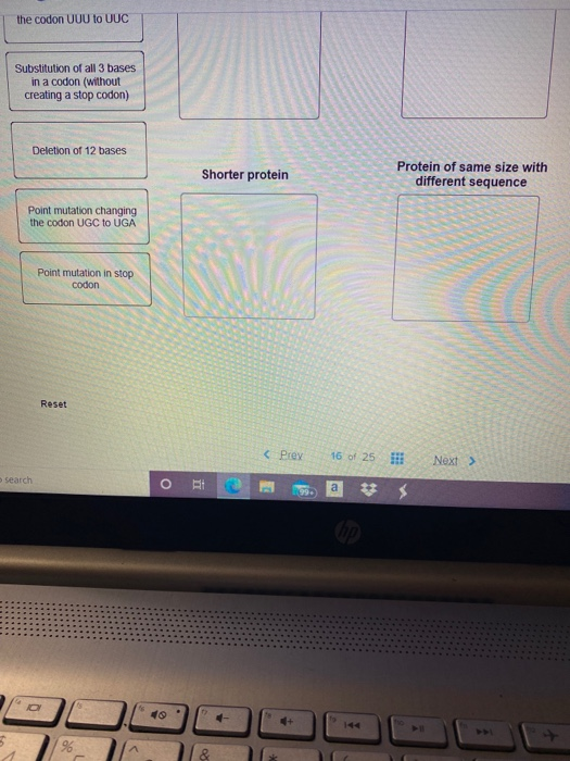 Solved mapter 7 Assignment 6 Sved Gene mutation results Il | Chegg.com