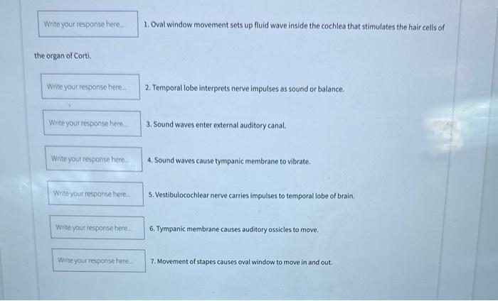 Solved (A) 1. Oval window movement sets up fluid wave | Chegg.com