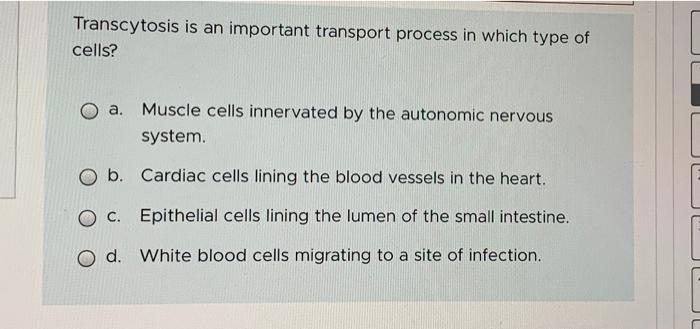 Solved Transcytosis is an important transport process in | Chegg.com