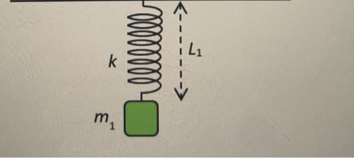Solved An ideal, massless spring with spring contant k = | Chegg.com
