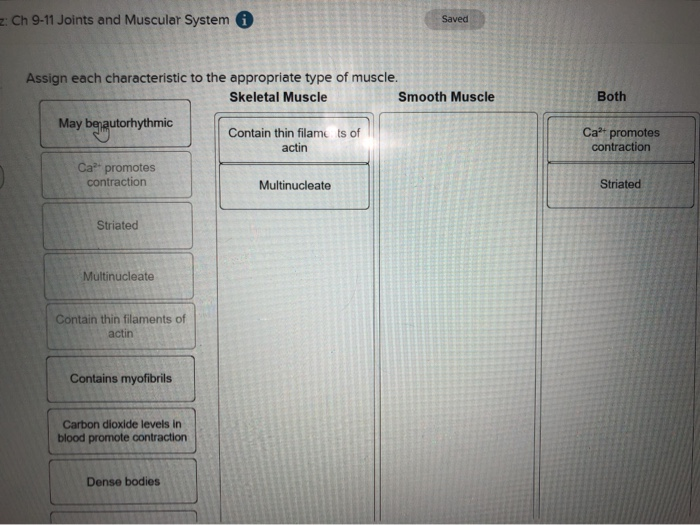 Solved 2: Ch 9-11 Joints and Muscular System Saved Both | Chegg.com Solved 2: Ch 9-11 Joints and Muscular System Saved Both | Chegg.com