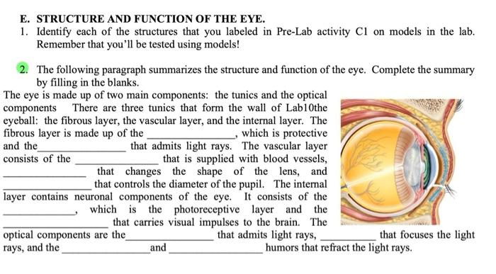 Solved E. STRUCTURE AND FUNCTION OF THE EYE. 1. Identify | Chegg.com