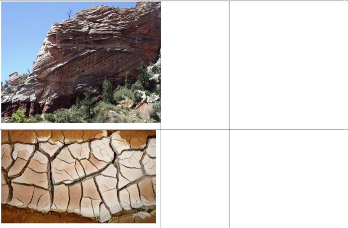 Solved Photo Identify the primary sedimentary structure (0.5 | Chegg.com