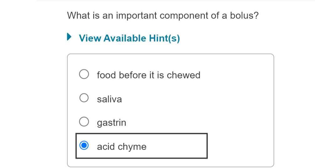 What is an important component of a bolus?food before | Chegg.com