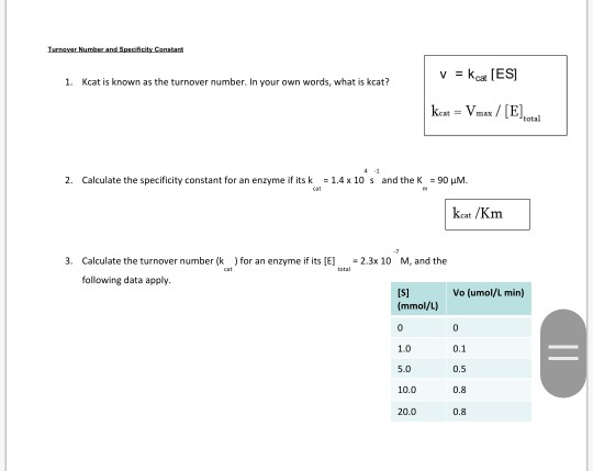 Solved Turnar me and specificity Constant v = kcal [ES] 1. | Chegg.com
