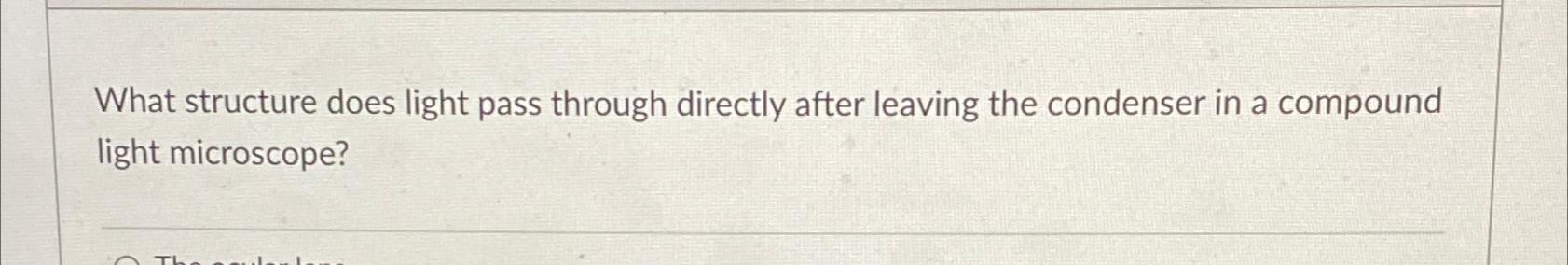 Solved What structure does light pass through directly after | Chegg.com