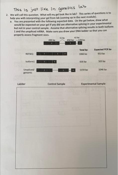 This is just like in genetics lab 2. We will call | Chegg.com