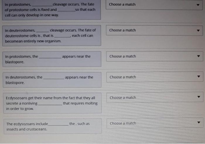 Solved Choose a match In protostomes. cleavage occurs. The | Chegg.com