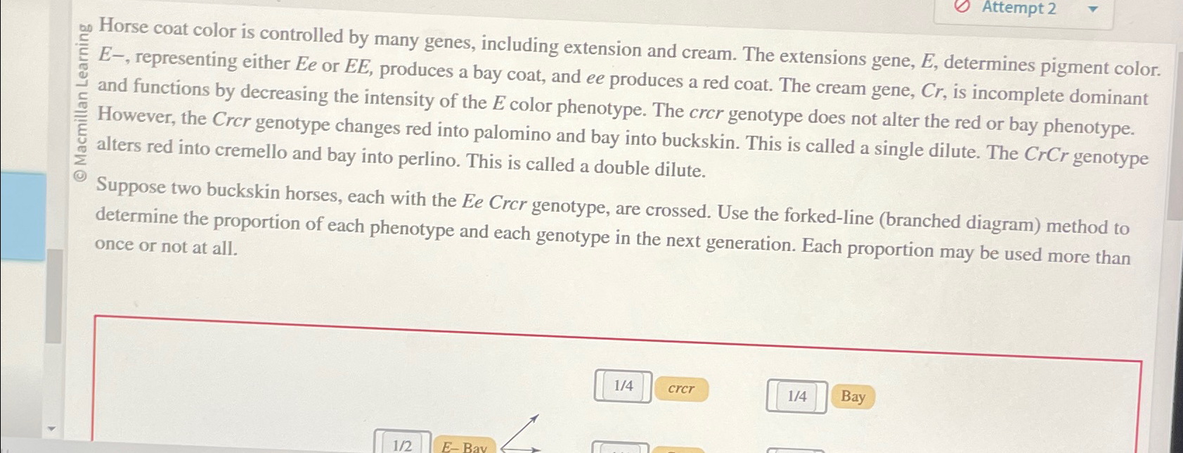 Solved Attempt 2borse coat color is controlled by many | Chegg.com