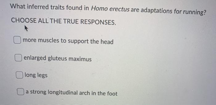 Solved What inferred traits found in Homo erectus are | Chegg.com