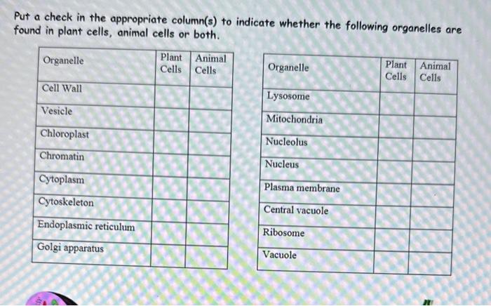 Solved Put a check in the appropriate column(s) to indicate | Chegg.com