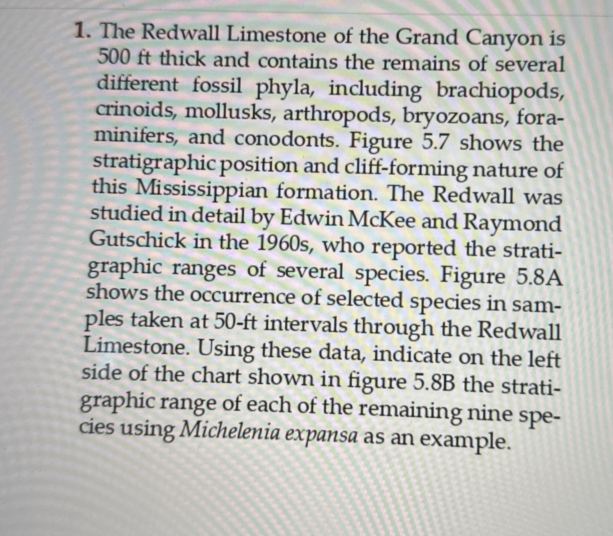 Solved The Redwall Limestone of the Grand Canyon is 500 ﻿ft | Chegg.com