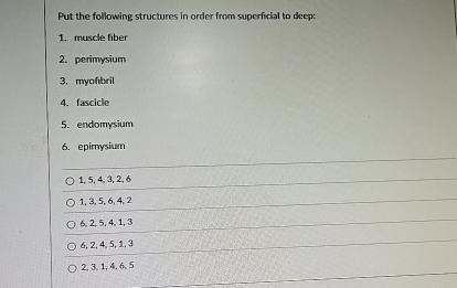Put the following structures in order from | Chegg.com