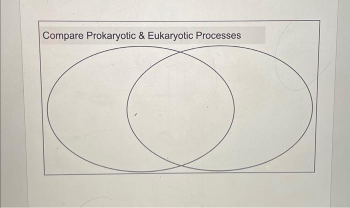 Solved Compare Prokaryotic \& Eukaryotic Processes | Chegg.com