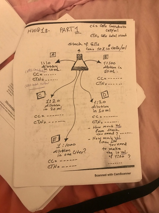 Solved cha Cells Concentratio Hal; PART 1 stock A CTN Collo | Chegg.com
