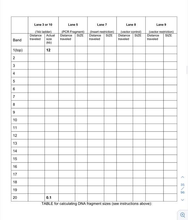 showing the migration distances for the MW markers (1 | Chegg.com