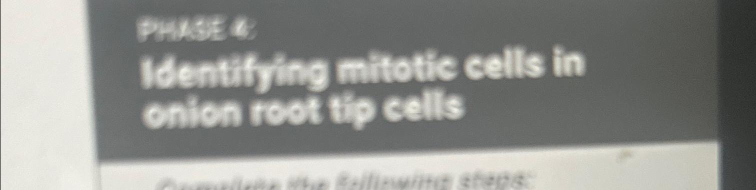 Solved Prose 2Identifying mitotic cells in onion root tip | Chegg.com