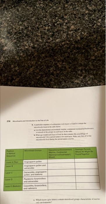 Hi please help thanks | Chegg.com