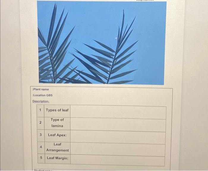 Solved :Plant name :Location CBS | Chegg.com