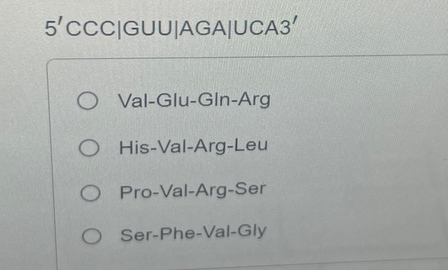 Solved 5'CCC|GUU|AGA|UCA3'|Val-Glu-GIn-ArgHis-Val-Arg-LeuPro | Chegg.com