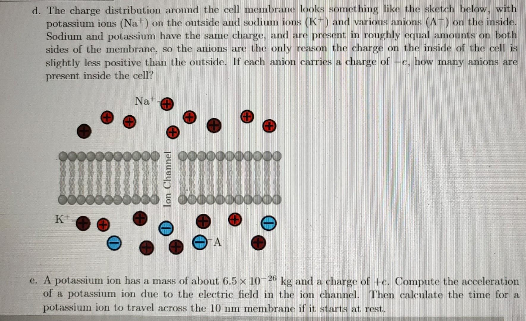 Solved 3. The inside and outside of a cell membrane can be | Chegg.com