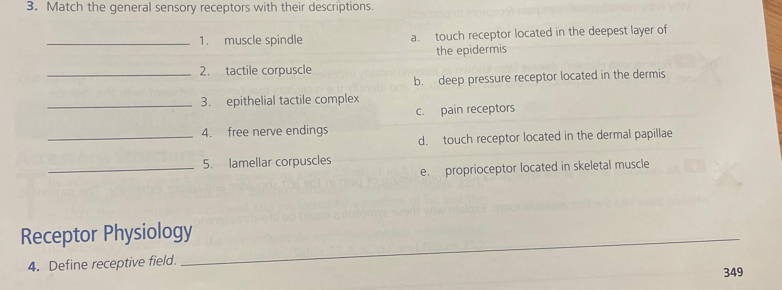 Solved Match the general sensory receptors with their | Chegg.com
