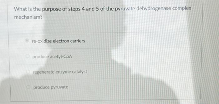 Solved What is the purpose of steps 4 and 5 of the pyruvate | Chegg.com