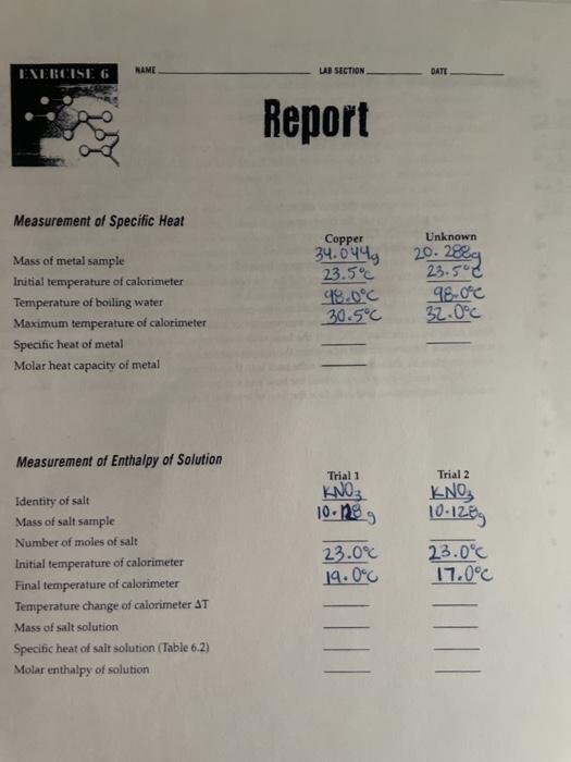 Solved NAME EXERCISE 6 LAB SECTION DATE Report Measurement | Chegg.com