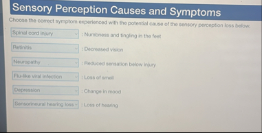 Solved Sensory Perception Causes and SymptomsChoose the | Chegg.com