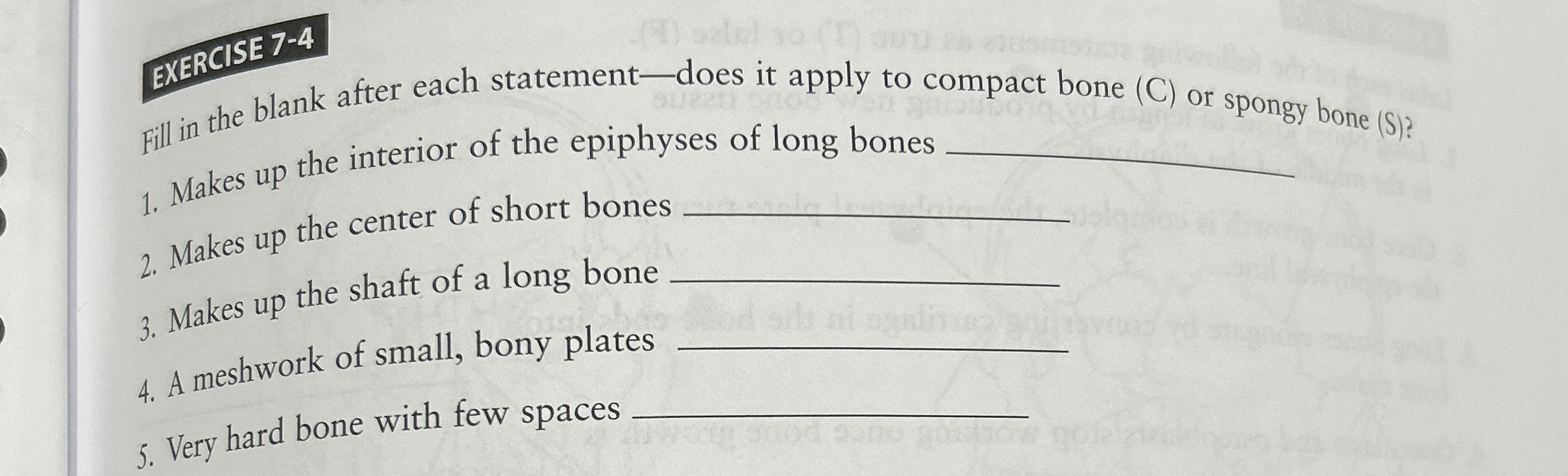 Solved EXERCISE 7-4Makes up the interior of the epiphyses of | Chegg.com