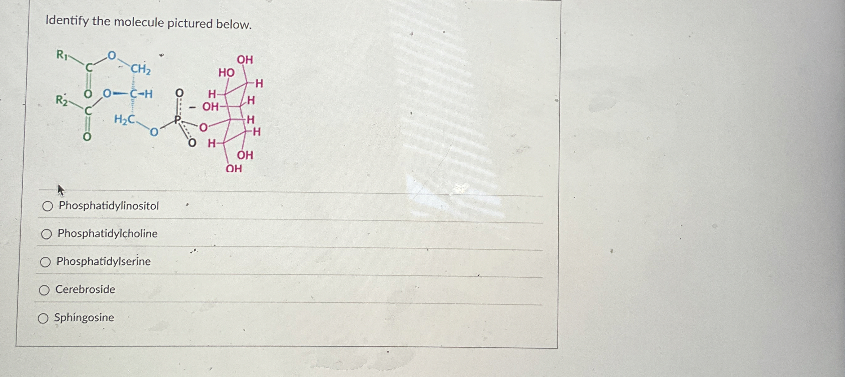 Solved Identify the molecule pictured | Chegg.com