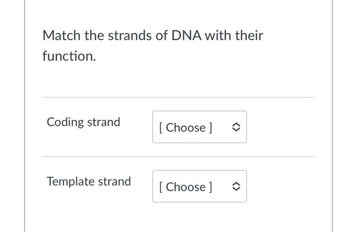 Solved Match the strands of DNA with their function. Coding | Chegg.com