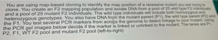 You are using map-based cloning to identify the map | Chegg.com