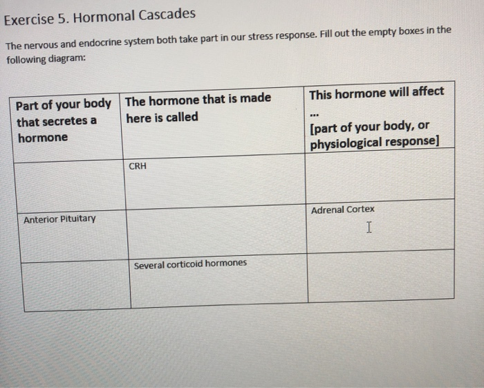 Solved Exercise 5. Hormonal Cascades The nervous and | Chegg.com