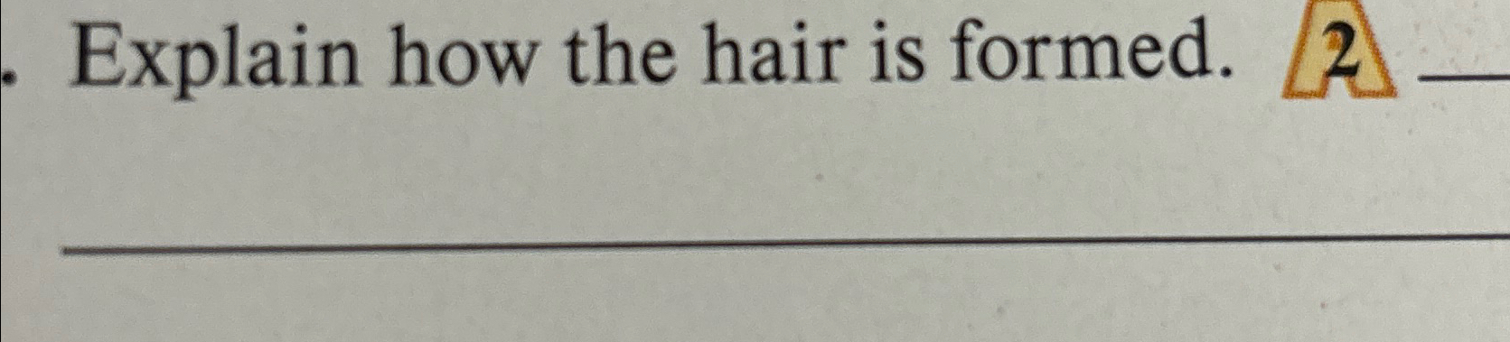 Solved Explain how the hair is formed. 2 | Chegg.com