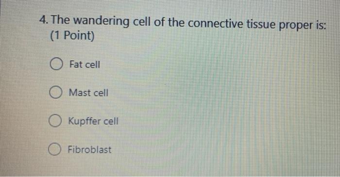 Solved 4. The wandering cell of the connective tissue proper | Chegg.com