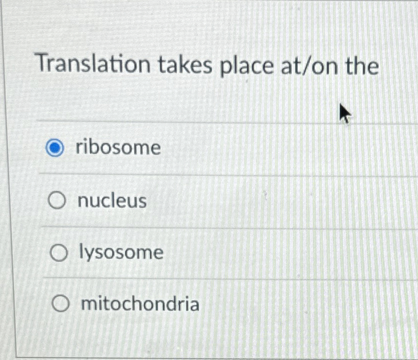 Solved Translation takes place at/on | Chegg.com