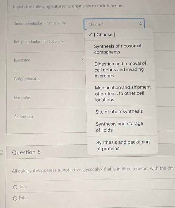 Solved Match the following eukaryotic organelles to their | Chegg.com