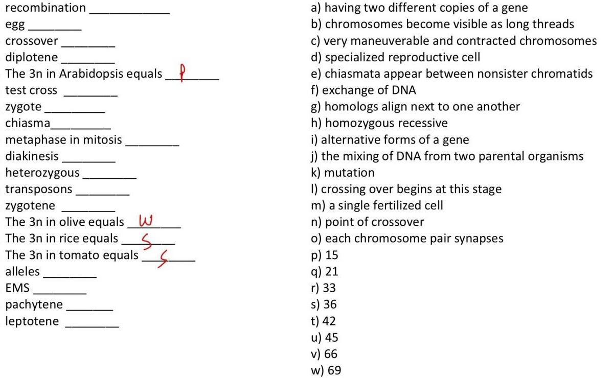 Solved recombination egg crossover diplotene The 3n in | Chegg.com