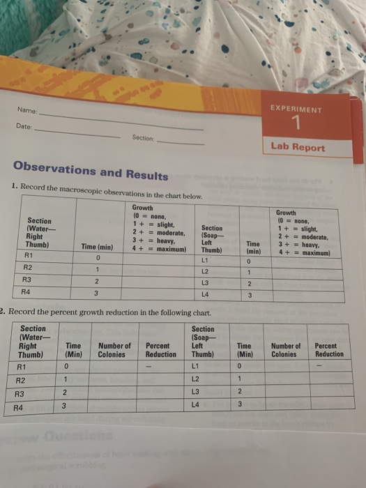 Name EXPERIMENT Date: Section Lab Report Observations | Chegg.com