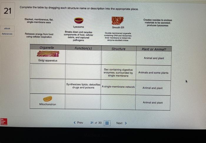Solved Complete the table by dragging each structure name or | Chegg.com