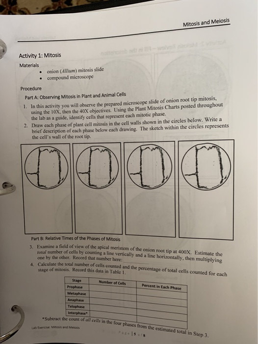 Solved Mitosis and Meiosis Activity 1: Mitosis Materials | Chegg.com
