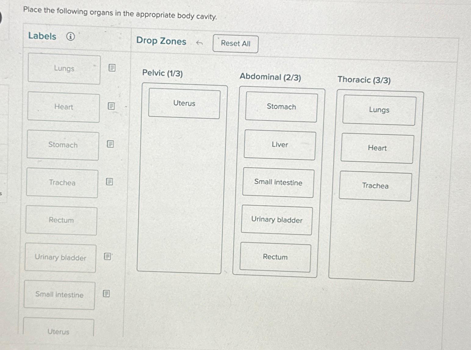 Solved Place the following organs in the appropriate body | Chegg.com