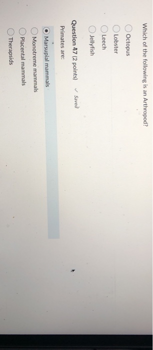 Solved Which of the following is an Arthropod? Octopus | Chegg.com