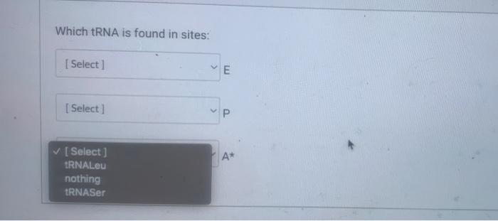 Solved Consider the translation of a polypeptide encoded by | Chegg.com