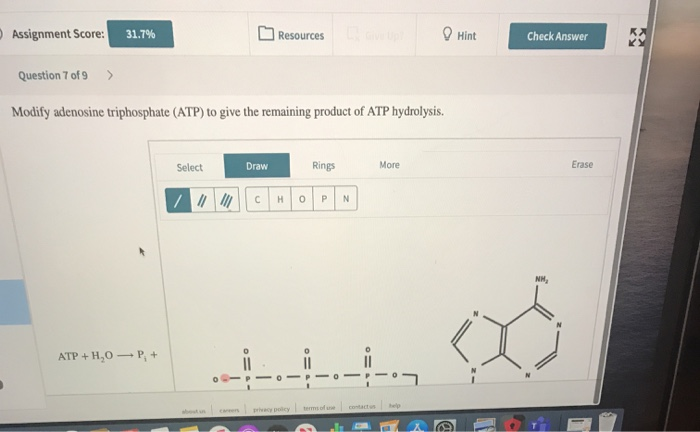 Solved Assignment Score: 31.7% Resources Hint Check Answer | Chegg.com